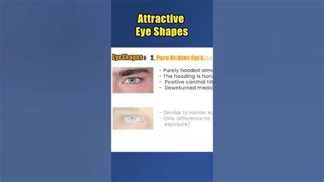 Male Eye Shapes