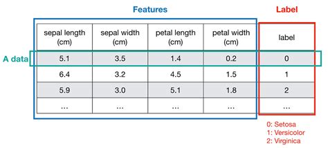 Implement Neural Network Without Using Deep Learning Libraries Step By