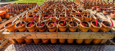 Firework Mortar Tubes For Sale Postal Tube Shop