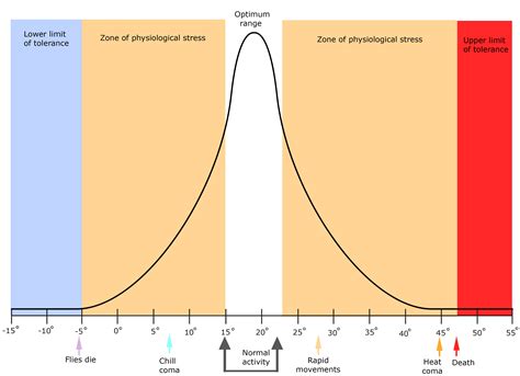 What Is A Tolerance Range Definition At James Mansell Blog
