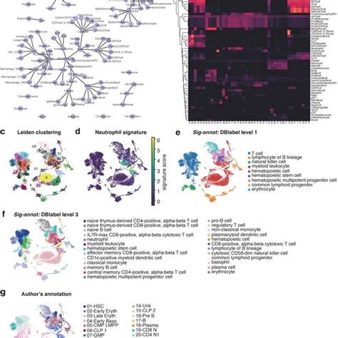 Scdc Deconvolution Results Based On Simulated Bulk Rna Seq From Scdc Download Scientific