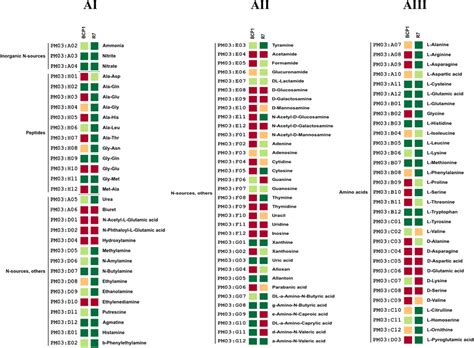 Phenotype Microarray Pm With Different Nitrogen Sources Metabolic