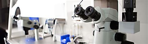 Researchers Develop A New Tool To Predict Egg Freezing Success