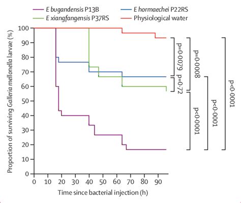 Pathogenicity Of Enterobacter Cloacae Complex Isolates In Galleria Download Scientific Diagram