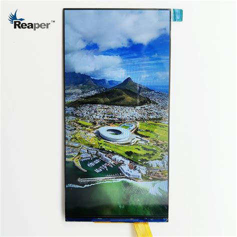 Inch IPS HD LCD Display Module Mipi Interface Optional Touch Screen LCD Screen And LCD