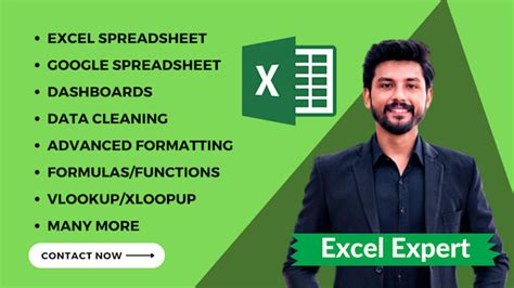 give excellent excel service formulas formatting dashboard cleaning