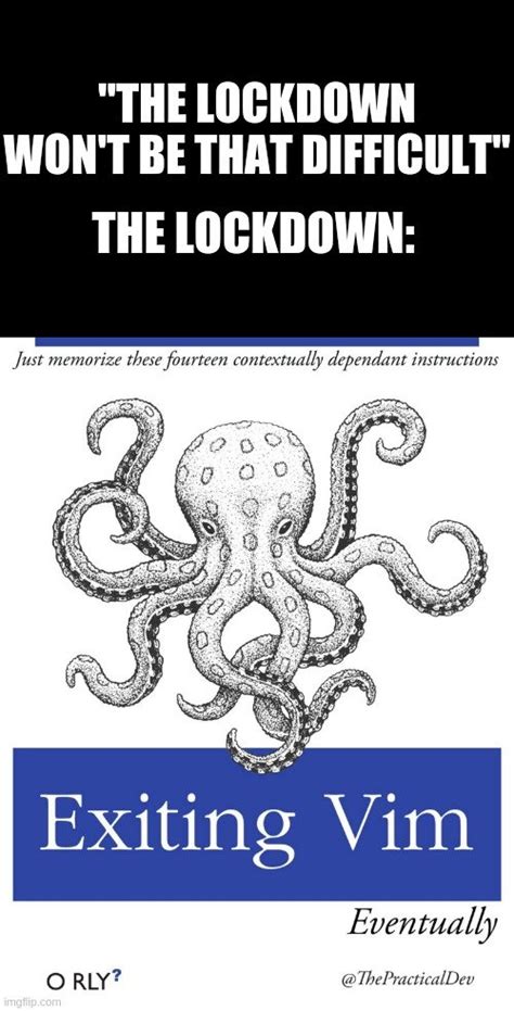 Exiting Vim R Programmerhumor