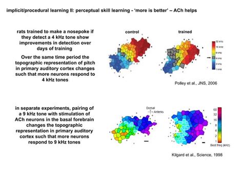 Cogs 107b Winter 2010 Lecture 15 Memory Ppt