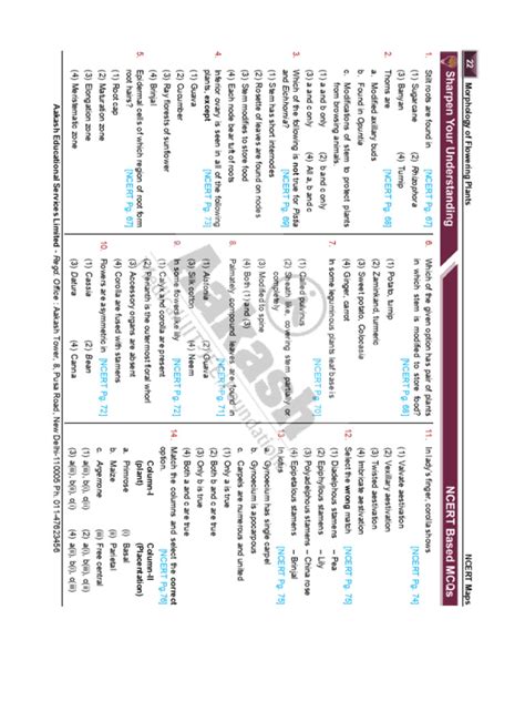 Rotated Botany Ddp With Key Pdf Plant Stem Botany