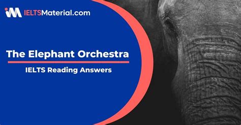 The Elephant Orchestra Ielts Reading Answers