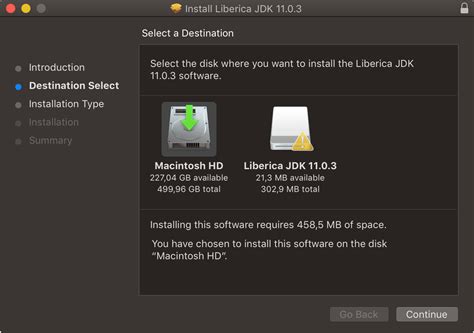 Liberica Jdk 110610 Install Guide