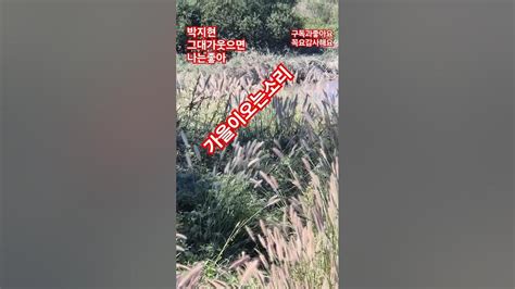 가을시골박지현가을 가을에풍경미스터트롯쇼츠여행힐링 Youtube