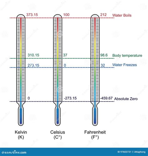 Comparison Of Three Temperature Scales Vector Stock Vector