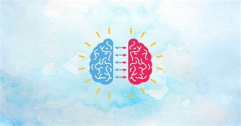 the left digital right analog brain myth what it really means for e