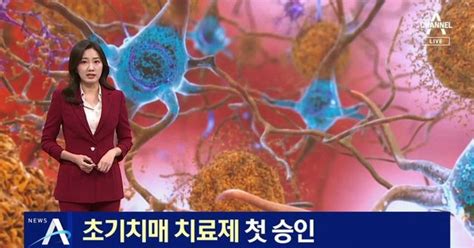 Fda 초기치매 치료제 ‘레켐비 첫 승인