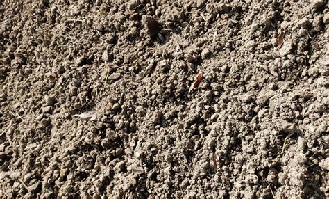 Concept Of Soil Fertility Plantlet