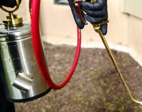 Rockingham Pest Control 0875437466 Pest Control Rockingham