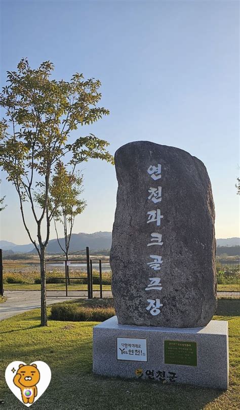 Daum 카페