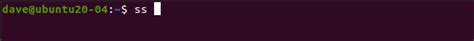 How To Use The Ss Command On Linux