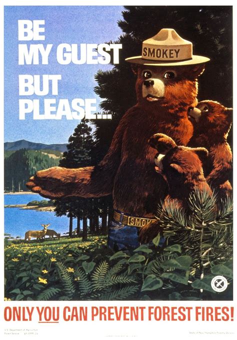 Campfire Safety Rules Poster Wildfire Safety Poster Smokey The Bears
