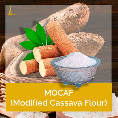 Jual MOCAF Modified Cassava Flour Tepung Singkong Organik 1 Kg