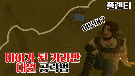 미아가 된 카라반 대원 공략법젤다의 전설 왕국의 눈물 Youtube