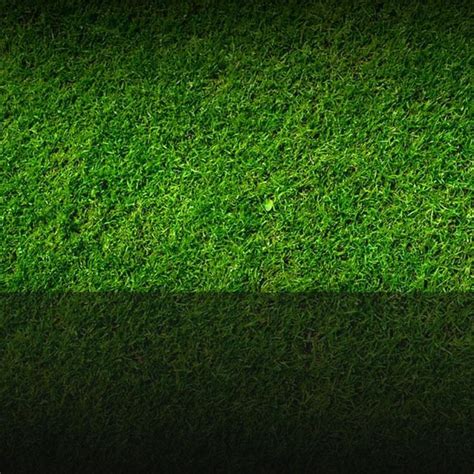 Free Green Grass Powerpoint Background