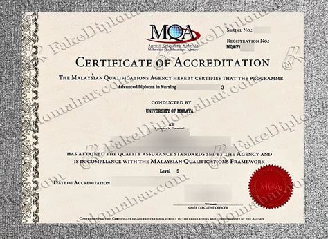 Where Can I Buy High Quality Fake Mqa Certificate Online