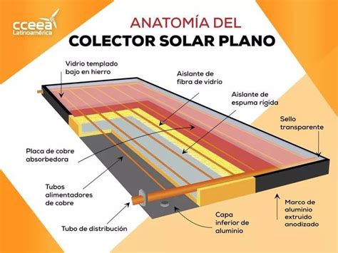 Anatomy Of A Solar Panel Explained