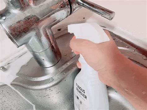 벽지곰팡이제거제 뚝딱리빙 곰팡이제거제 말끔해 네이버 블로그