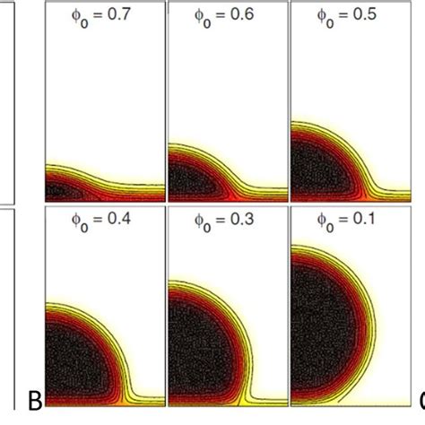 illustration of interface tracking versus interface capturing methods