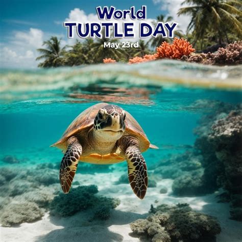 Premium Psd Turtle In Nature Social Media Poster Design Concept By