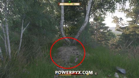 Kingdom Come Deliverance 2 Where To Find Hermit