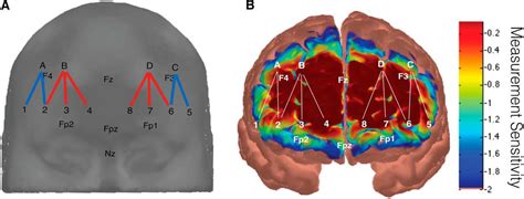 Role Of Prefrontal Cortex In Learning And Generalizing Hierarchical