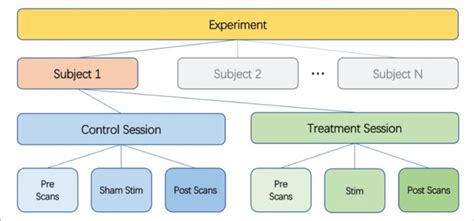 Diagram Of Experimental Design Each Subject Undergoes A Control