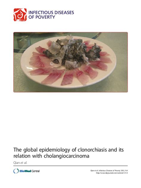 Pdf The Global Epidemiology Of Clonorchiasis And Its Relation With Cholangiocarcinoma Xiao