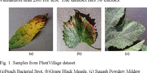 Figure 1 From An End To End Deployment Workflow For Ai Enabled