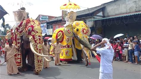 සිංහරාජ හා මියන්රාජා කඩුවෙල රන්කඩු පත්තිනි දේවාලයේ දවල් පෙරහැර Sinha Raja Miyan Raja Youtube