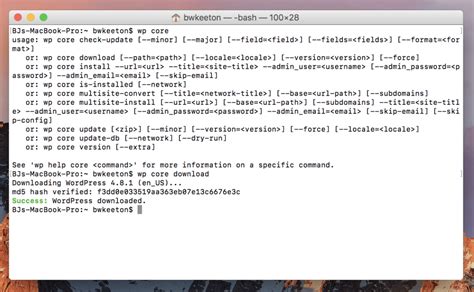 15 command line prompts that are useful for wordpress users