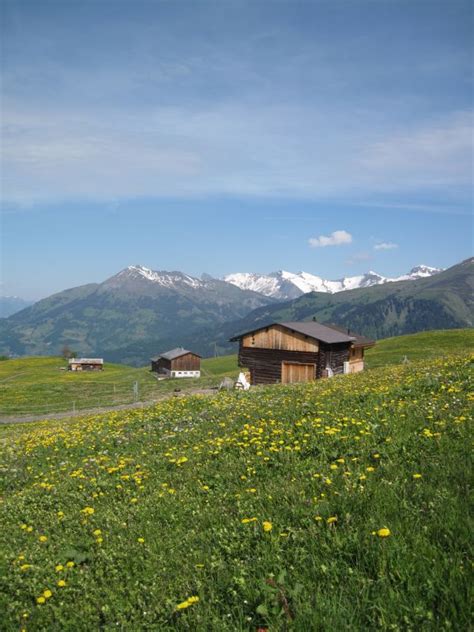 Kostenlose Foto Landschaft Natur Gras Wildnis Berg Feld Bauernhof Wiese Prärie Hügel
