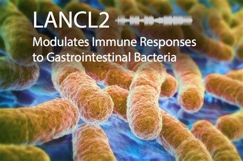 Lancl2 Modulates Immune Responses To Gastrointestinal Bacteria