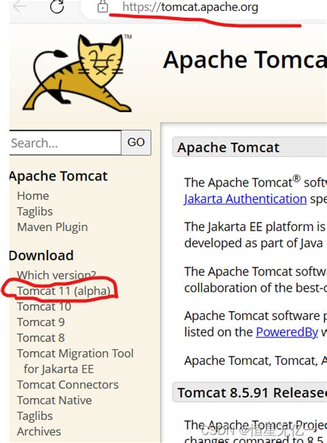 jdk17 tomcat11安装配置教程（压缩包方式） tomcat11 0安装教程 csdn博客