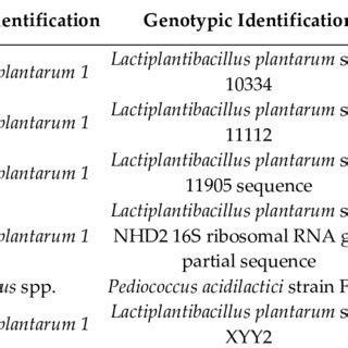 Identification Of The Six Isolates Using API 50 CHL Kits And 16S RRNA Gene Download