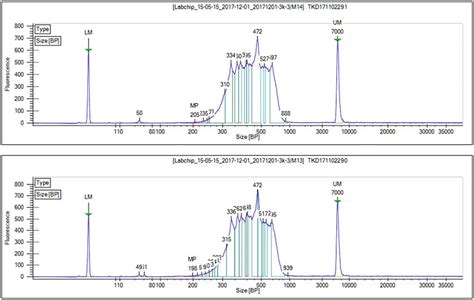 Bioanalyzer Analysis On Libraries Prepared From Shoots Top And Roots
