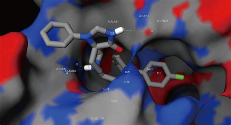 Computational Drug Repurposing Cuhk Exhibitions By Cintec