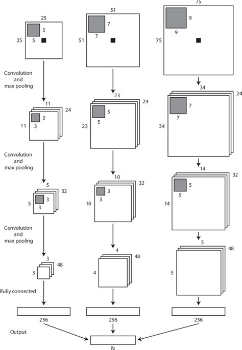 figure 1 from automatic segmentation of mr brain images with a