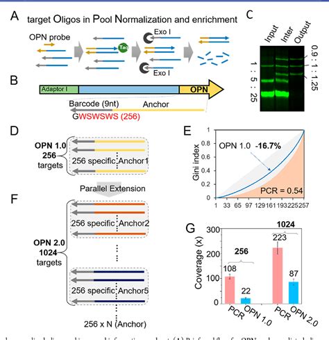 Figure 4 From Low Bias Manipulation Of Dna Oligo Pool For Robust Data Storage Semantic Scholar