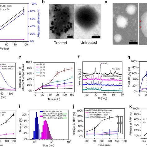 Design And Characterization Of Liposome Based Nanoreactors A The Download Scientific Diagram