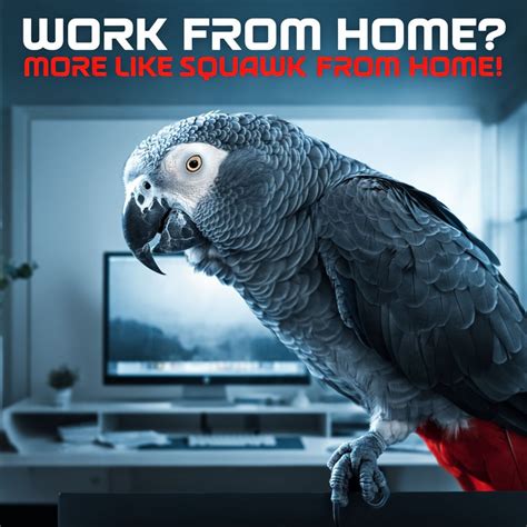 Sassy African Grey Parrot Squawk From Home Meme Art Playground