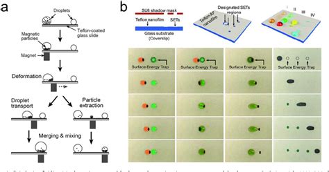 Figure 3 From Open And Closed Microfluidics For Biosensing Semantic Scholar